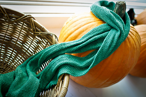 Ravelry: Unisex Seeded Rib Scarf pattern by Emmy Coplea