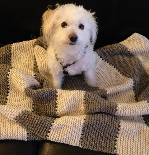Ravelry: Blanket Modern Earth pattern by Edna Hart Knits