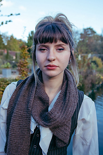 Ravelry: Beginners Sampler Scarf pattern by Emma Adeane