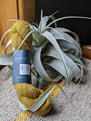 Ravelry: Shibui Knits Cima