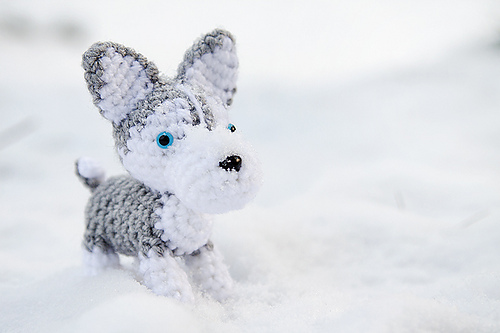 Ravelry: Siberian Husky pattern by Mitsuki Hoshi (ほし みつき)
