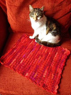Ravelry: feorag's Easy Cat Cage Nubby Blanket