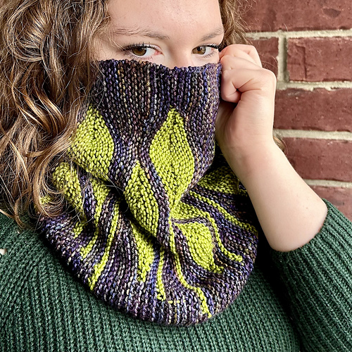 Ravelry: Toph Compagne pattern by Tom Paterson