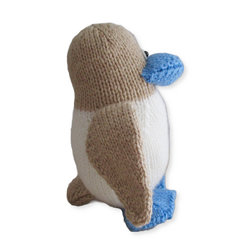 Ravelry: Blue Footed Booby Bird pattern by Amanda Berry