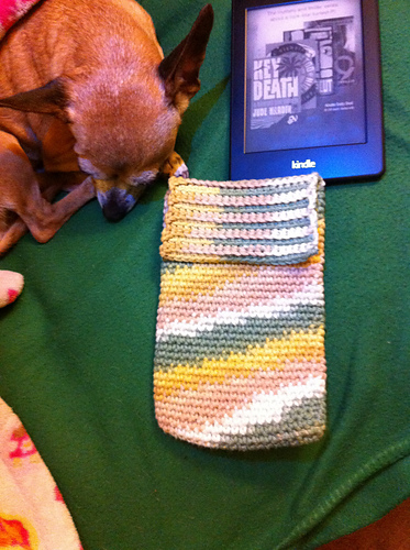 Ravelry: Francesca's Kindle Paperwhite Cover pattern by Francesca Reitano