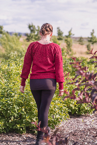 Ravelry: Arborescent Sweater pattern by Gabrielle Vézina