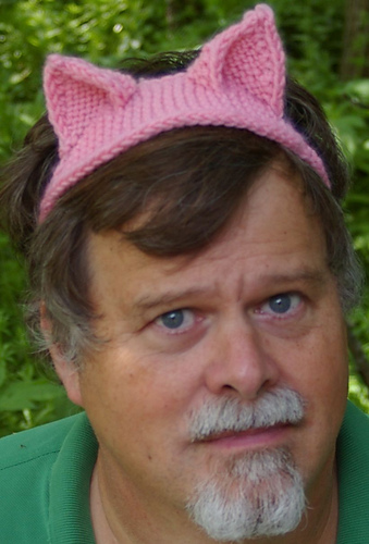 Ravelry: Kitty Ear Headband pattern by Gari Lynn