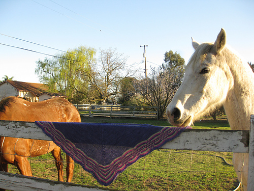 Ravelry: Minoan pattern by Nancy Whitman