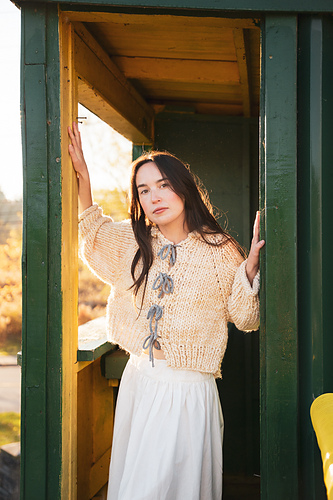 Ravelry: Ahmic Cardigan pattern by Tara-Lynn Morrison