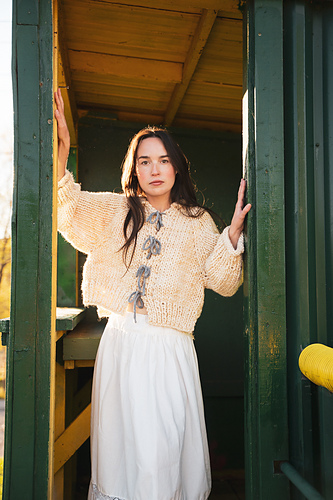 Ravelry: Ahmic Cardigan pattern by Tara-Lynn Morrison