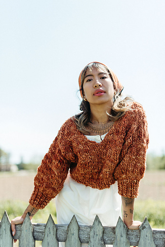 Ravelry: Dryden Sweater & Vest pattern by Tara-Lynn Morrison