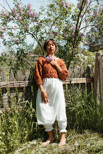 Ravelry: Dryden Sweater & Vest pattern by Tara-Lynn Morrison