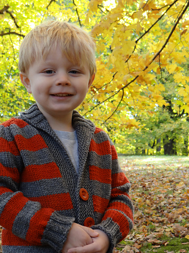 Ravelry: Elwood pattern by Jenny Wiebe