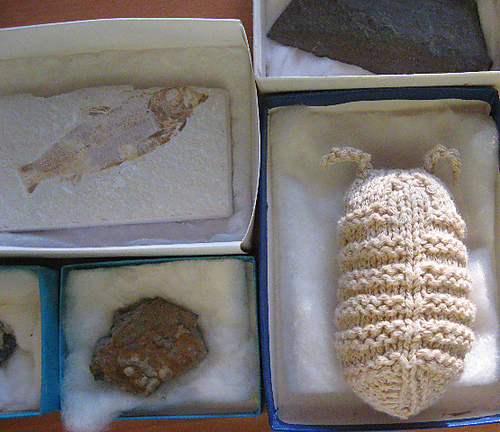 Ravelry: Knit Trilobite pattern by Madeleine Poirier