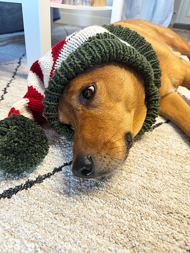 Ravelry: Dog Elf Hat pattern by Louise Bollanos