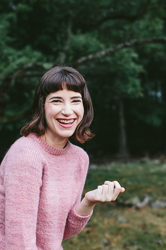 Ravelry: Wool Trip Crew Neck pattern by Hannah Fettig