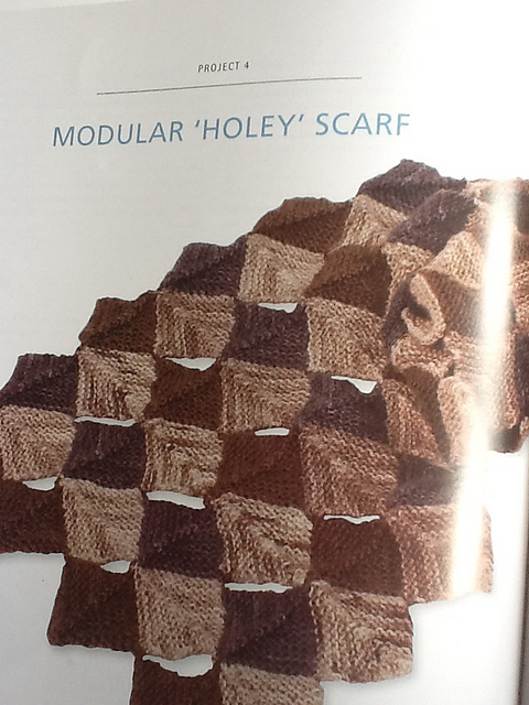 Ravelry: Modular 'Holey' Scarf pattern by Alison Ellen