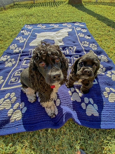 Ravelry: Cocker Spaniel Blanket pattern by Heather Noble