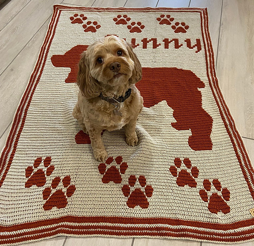 Ravelry: Cockapoo Blanket pattern by Heather Noble
