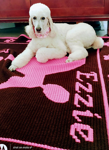 Ravelry: Standard Poodle Blanket pattern by Heather Noble