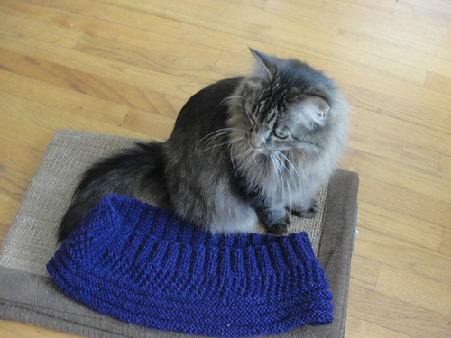 Ravelry: Layer Cake Loop pattern by steepndeep's Designs