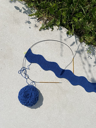 Ravelry: Wiggly Scarf pattern by Helena Wieser