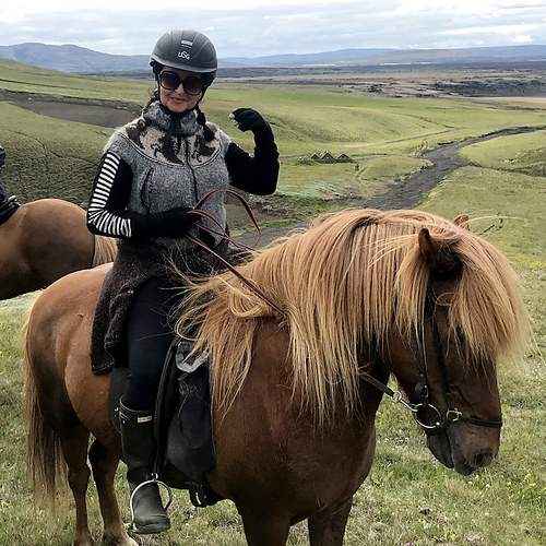 Ravelry: Hestur Vest pattern by Hélène Magnússon