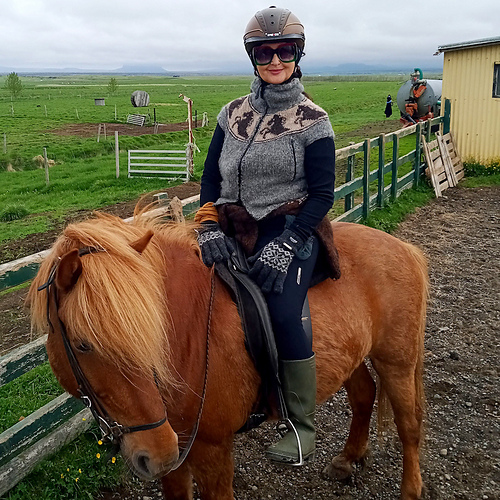 Ravelry: Hestur Vest pattern by Hélène Magnússon