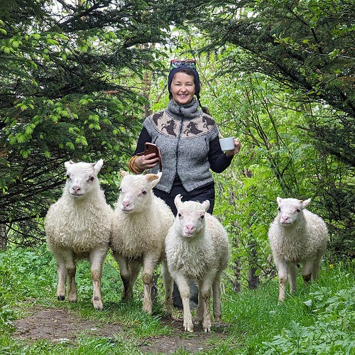 Ravelry: Hestur Vest pattern by Hélène Magnússon