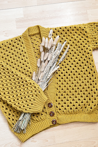 Ravelry: Bonfire Cardigan pattern by Carrie M Chambers