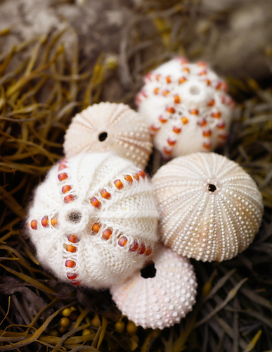 Ravelry: Oddities pattern by Hunter Hammersen