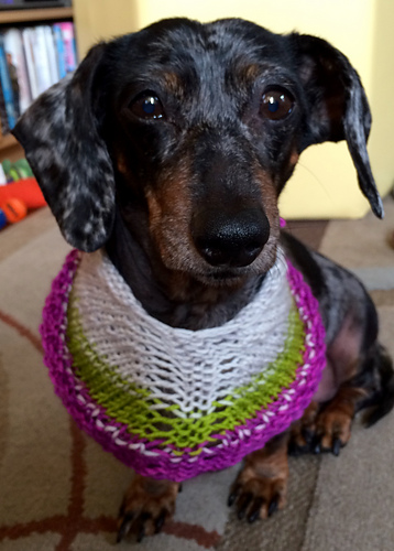 Ravelry: Dachshund Scarf pattern by Devon Finney
