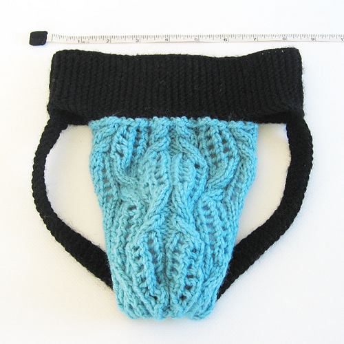 Ravelry: Tremblor Jockstrap pattern by Jamie McCanless