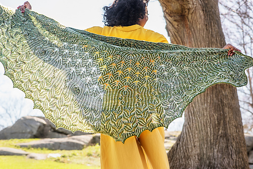 Ravelry: The Susurrate Shawl pattern by Cara Davis Conomos