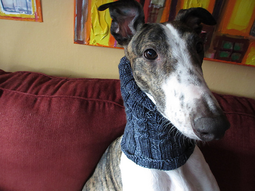 Ravelry: Dizzy Lily: A Snood For A Hound (Greyhound) pattern by Erssie