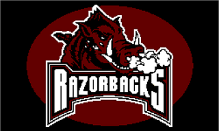 Ravelry: Arkansas Razorbacks Blanket pattern by Erin Swan