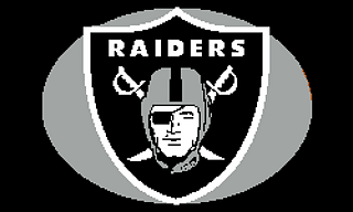 Ravelry: Oakland Raiders Afghan pattern by Erin Swan