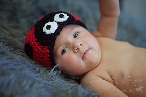Ravelry: Love Bug Ladybug Hat pattern by Crochet by Jennifer