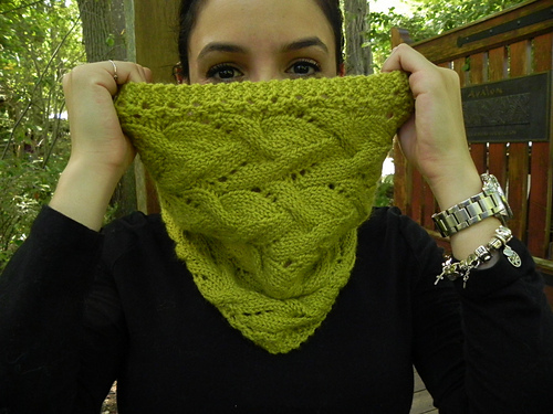 Ravelry: Phykos pattern by Joan Forgione
