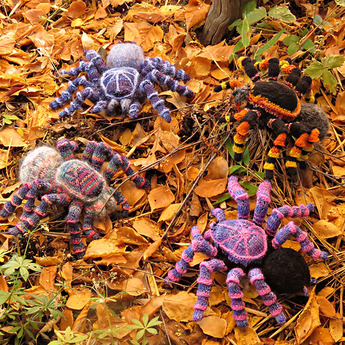 Ravelry: Taciturn Tarantula pattern by Joan Rowe
