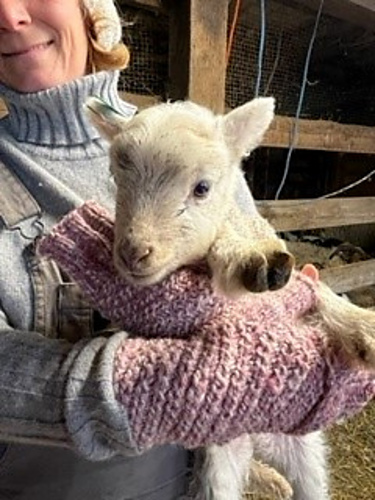 Ravelry: Theresa's Lambing Mitts pattern by Johnna Lush