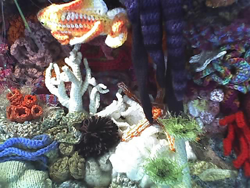 Ravelry: jtorgler's The Hawaiian Hyperbolic Coral Reef Project