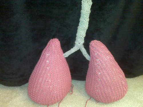 Ravelry: Lungs pattern by Allison Greenstein