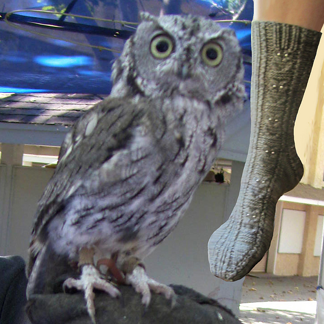 Ravelry: kimmyz's More Owlie Socks (Free Pattern)