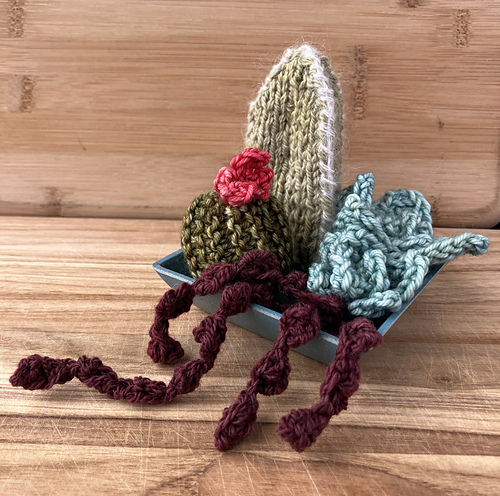 Ravelry: Squishy Succulents pattern by Kira Dulaney