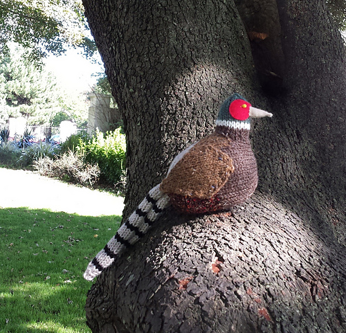 Ravelry: Pheasant pattern by Nicky Stewart