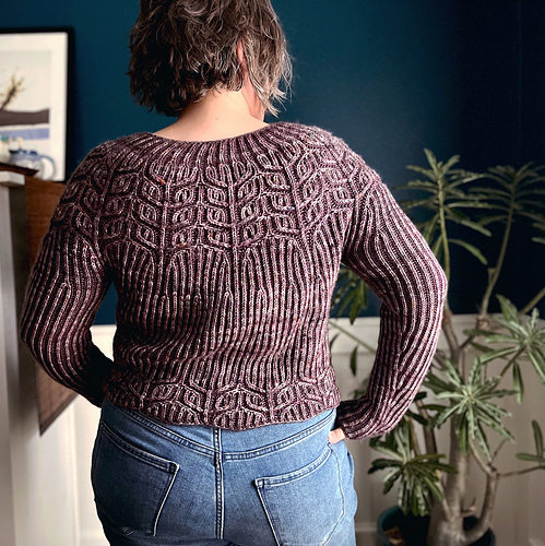Ravelry: Sizzle Pop Sweater pattern by Lesley Anne Robinson