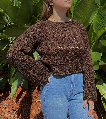 Ravelry: Woodpecker Sweater pattern by Sammie Pruitt