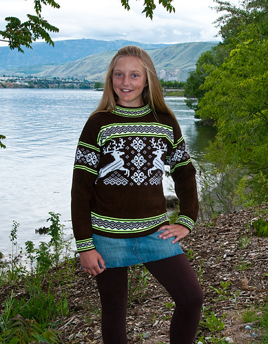 Ravelry: 14 Norwegian Sweaters pattern by Phyllis Waterhouse