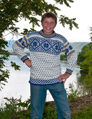 Ravelry: 14 Norwegian Sweaters pattern by Phyllis Waterhouse